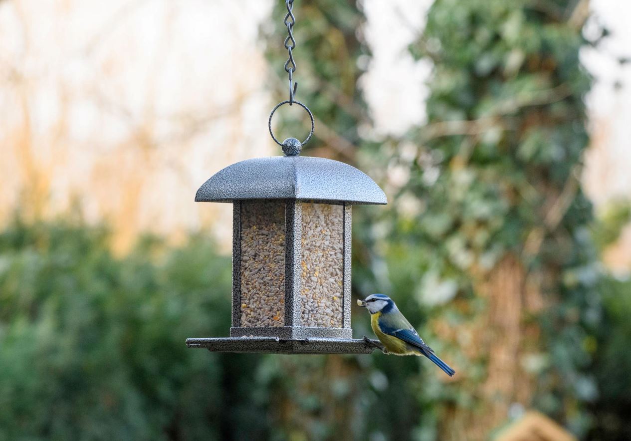 Fuglehus & Foderautomat | Klassiske & Flotte Fuglehuse